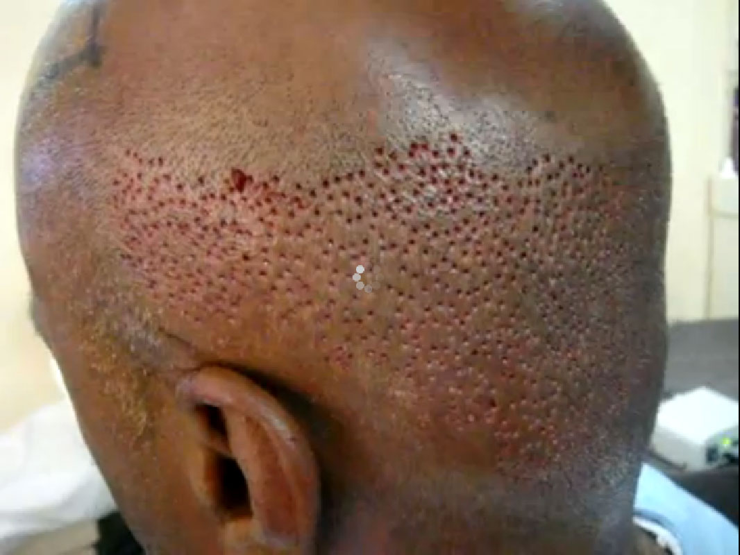 Trypophobia Dog
